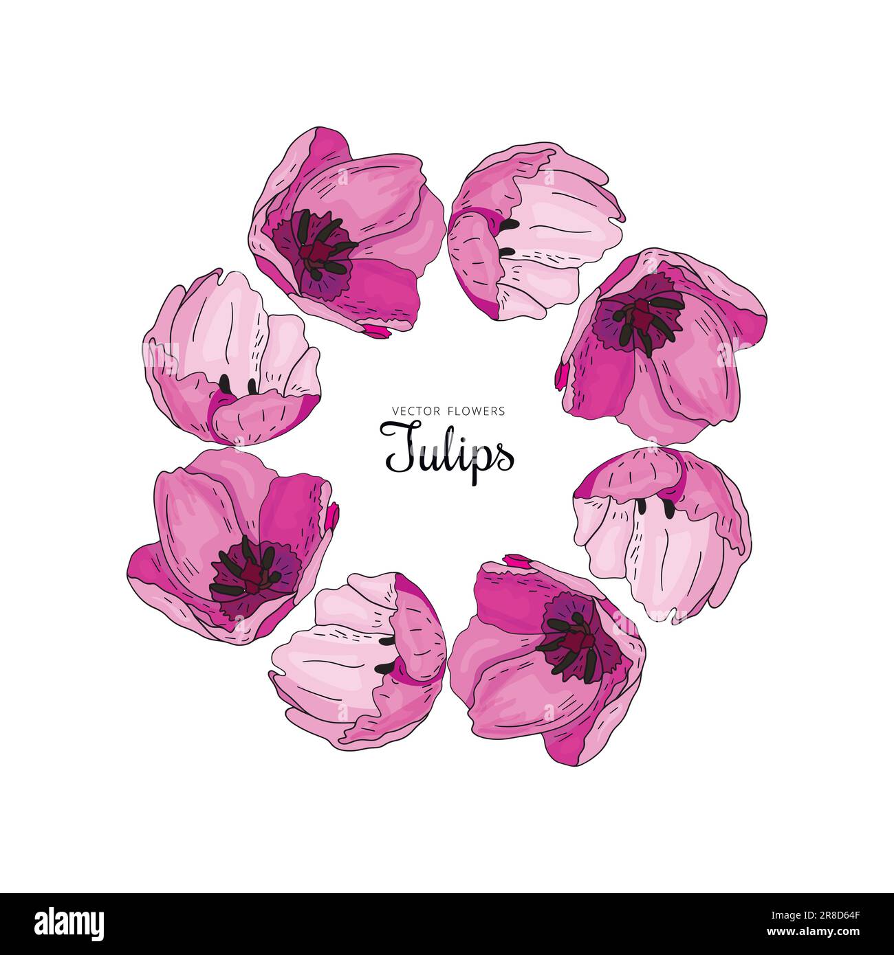 Couple of tulips Stock Vector Images - Alamy