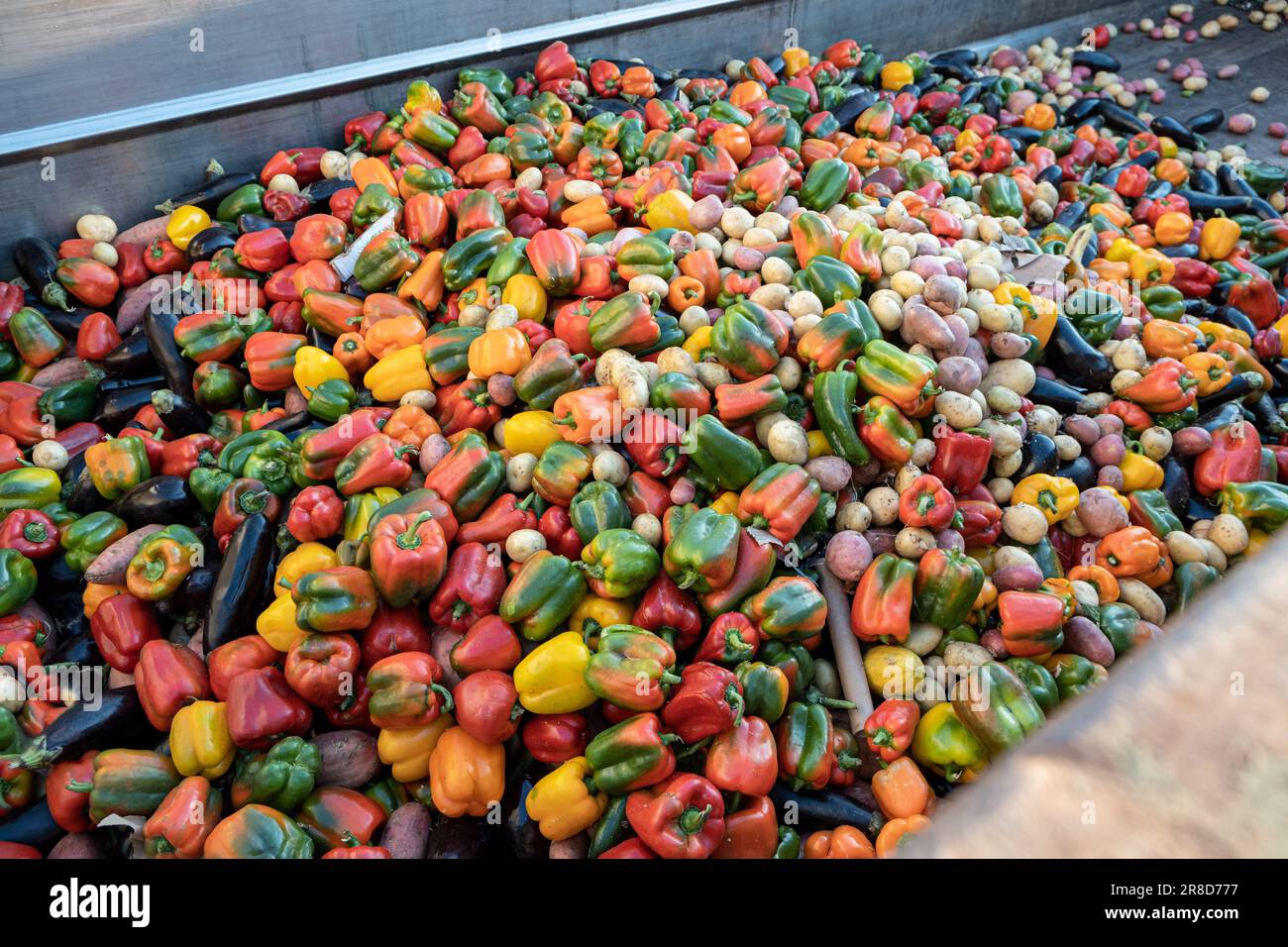 Expired Organic bio waste. Mix Vegetables and fruits in a huge ...
