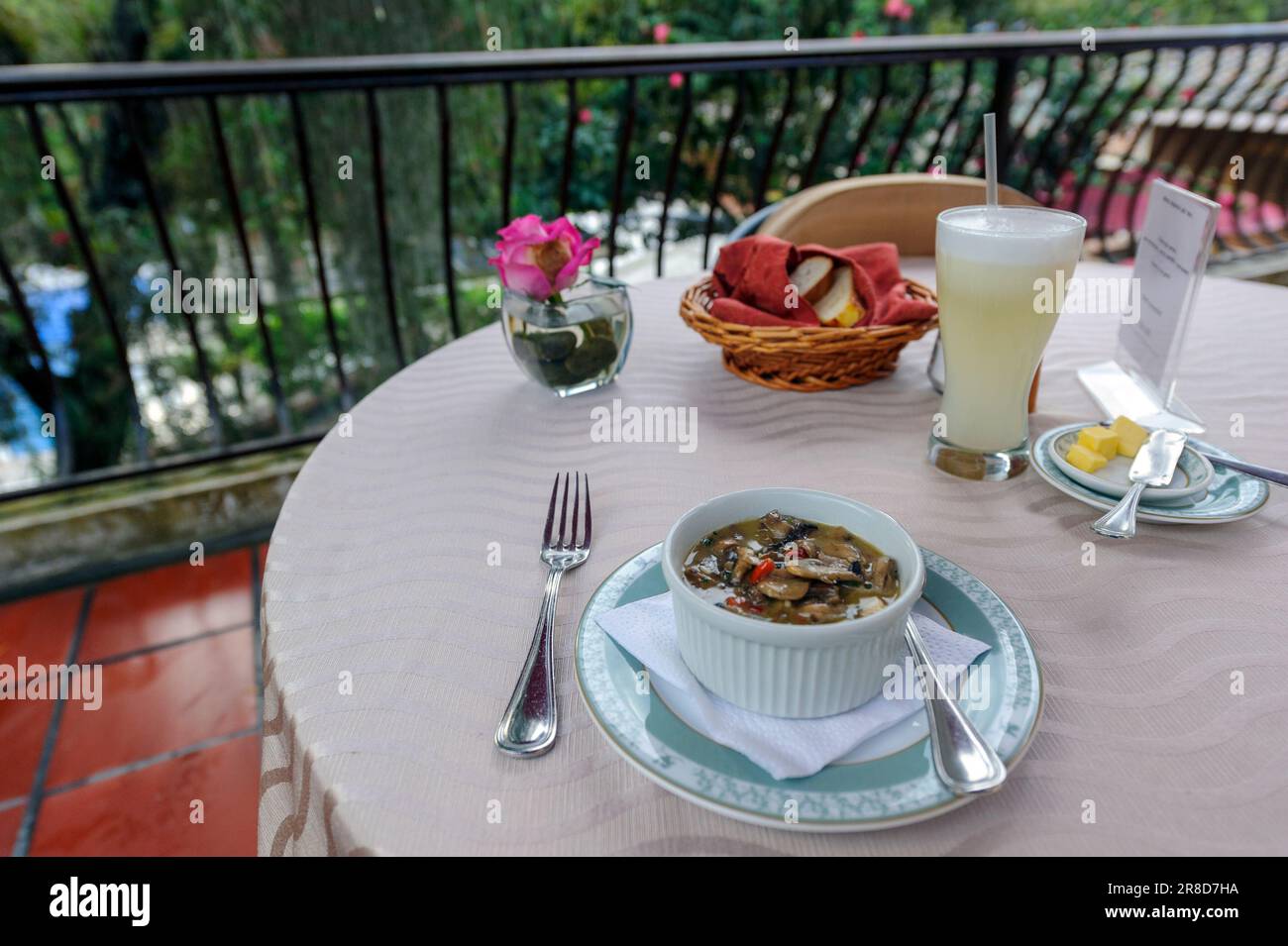 Mushroom soup appetizer being served in the Andes Mountains of Ecuador ...