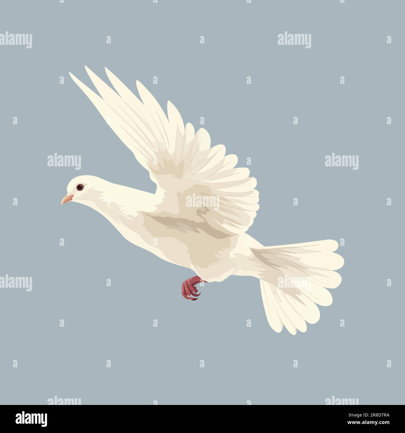 Realistic white dove flying on Stock Vector Images - Alamy