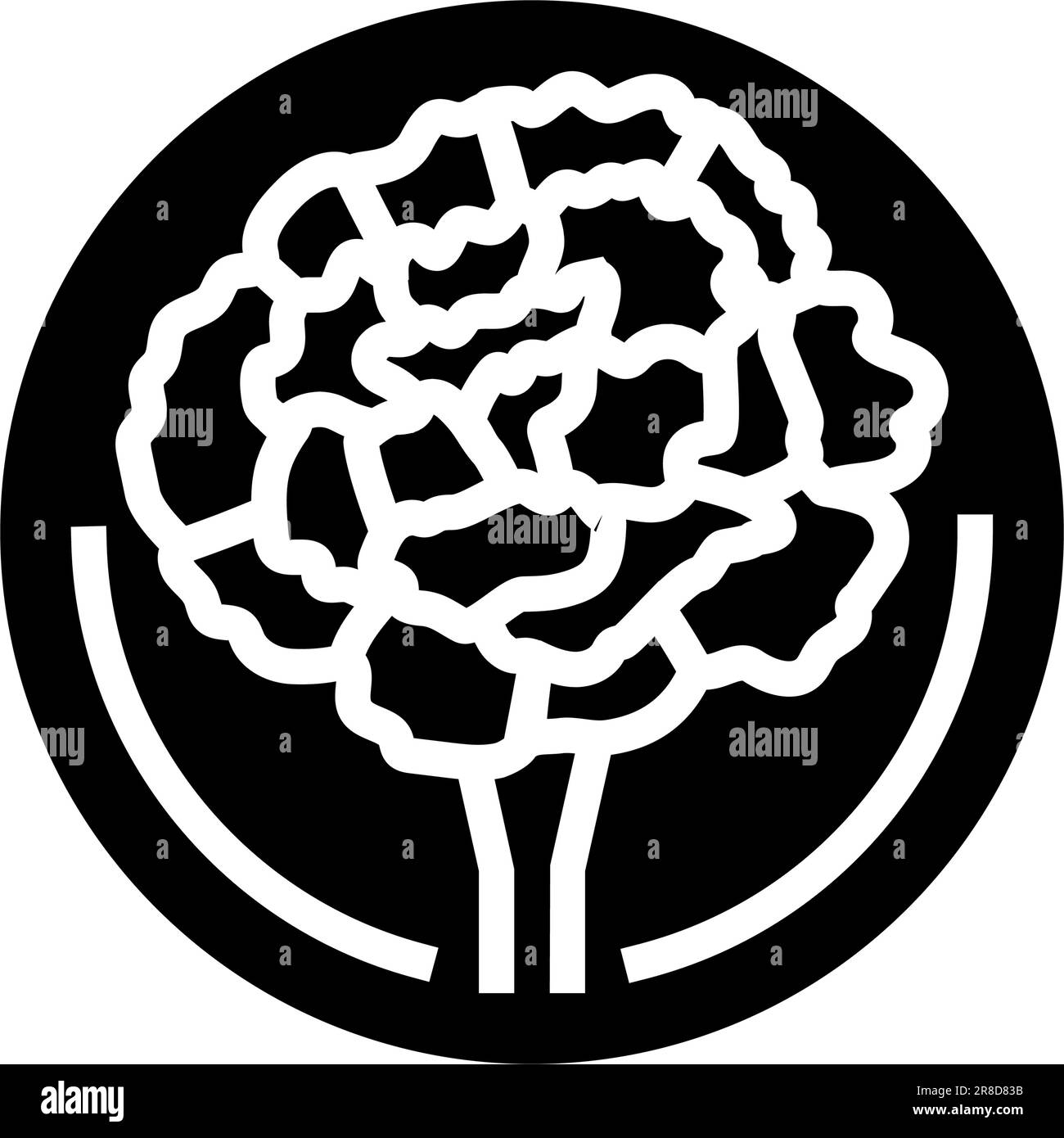 Marigold display Stock Vector Images - Alamy