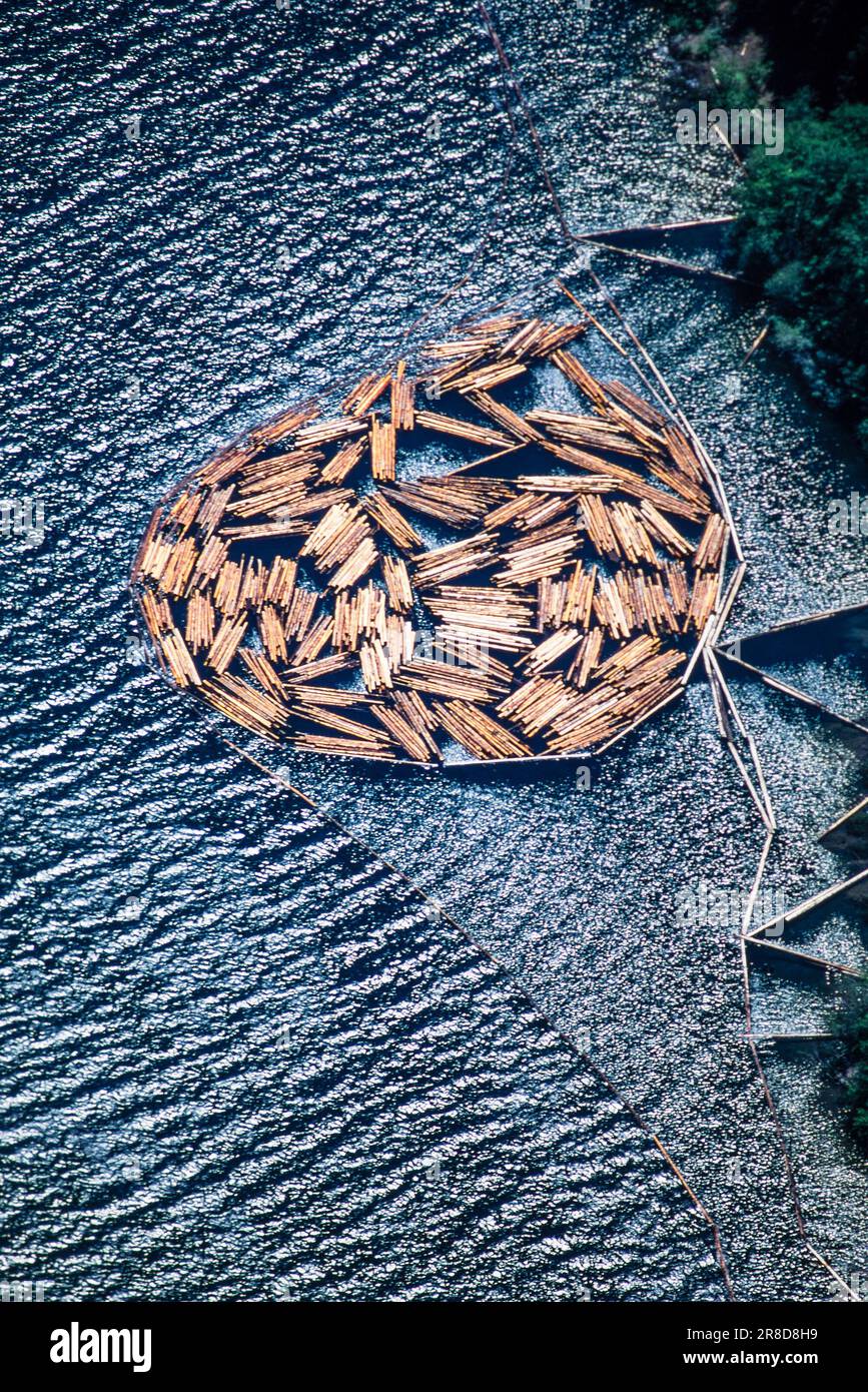 Aerial image of log boom, Vancouver Island, BC, Canada Stock Photo - Alamy