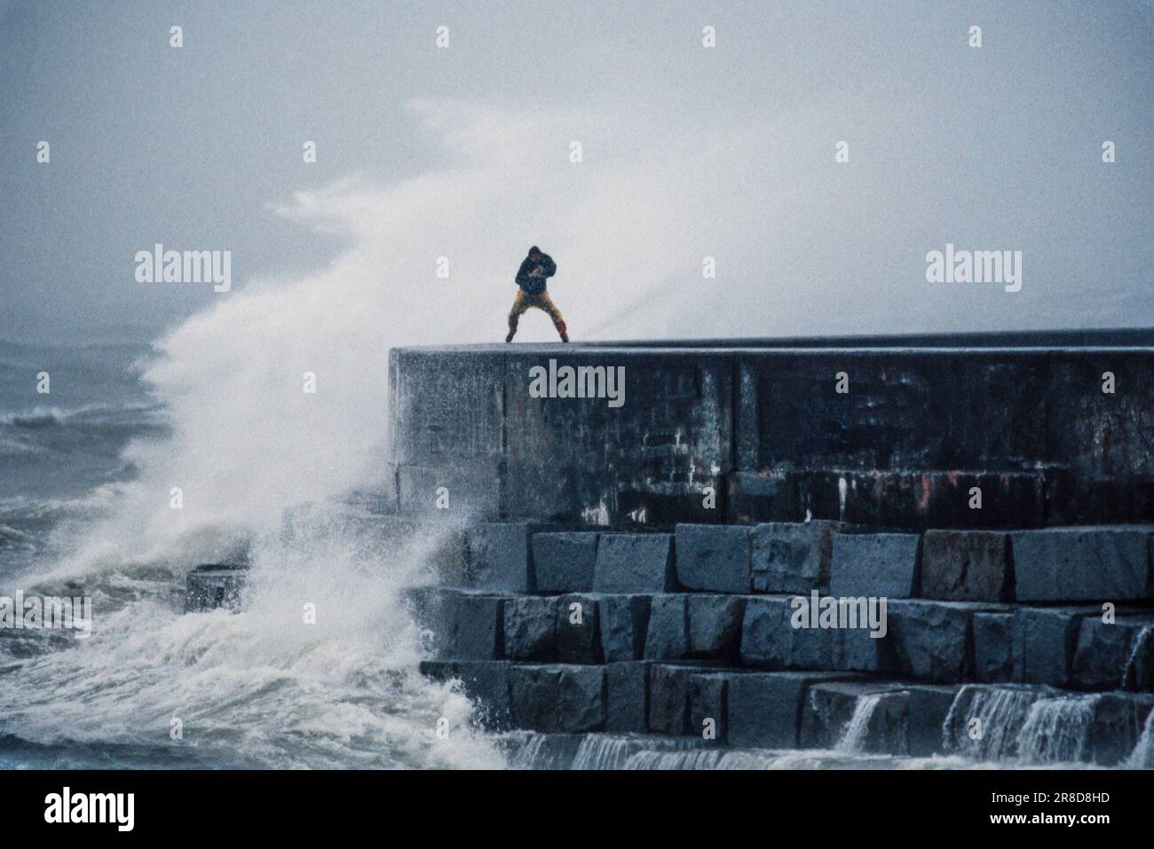Wind storm victoria bc hi-res stock photography and images - Alamy