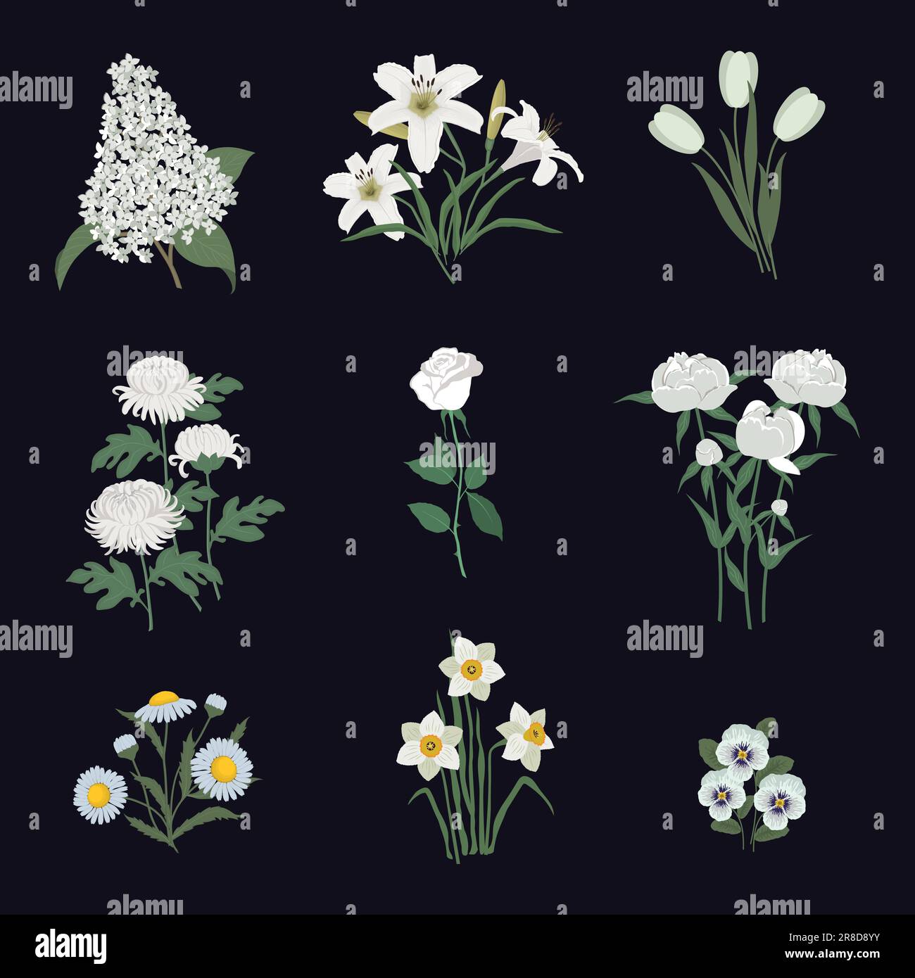 Collection of white flowers on a black background. Daffodils, peonies ...