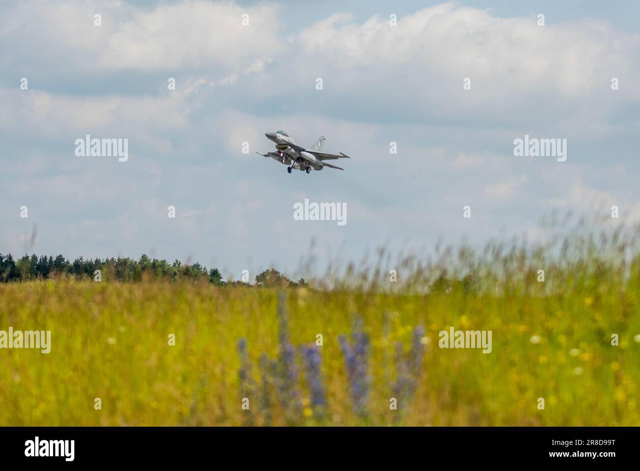 A Hellenic air force pilot assigned to the 347th Fighter Squadron ...