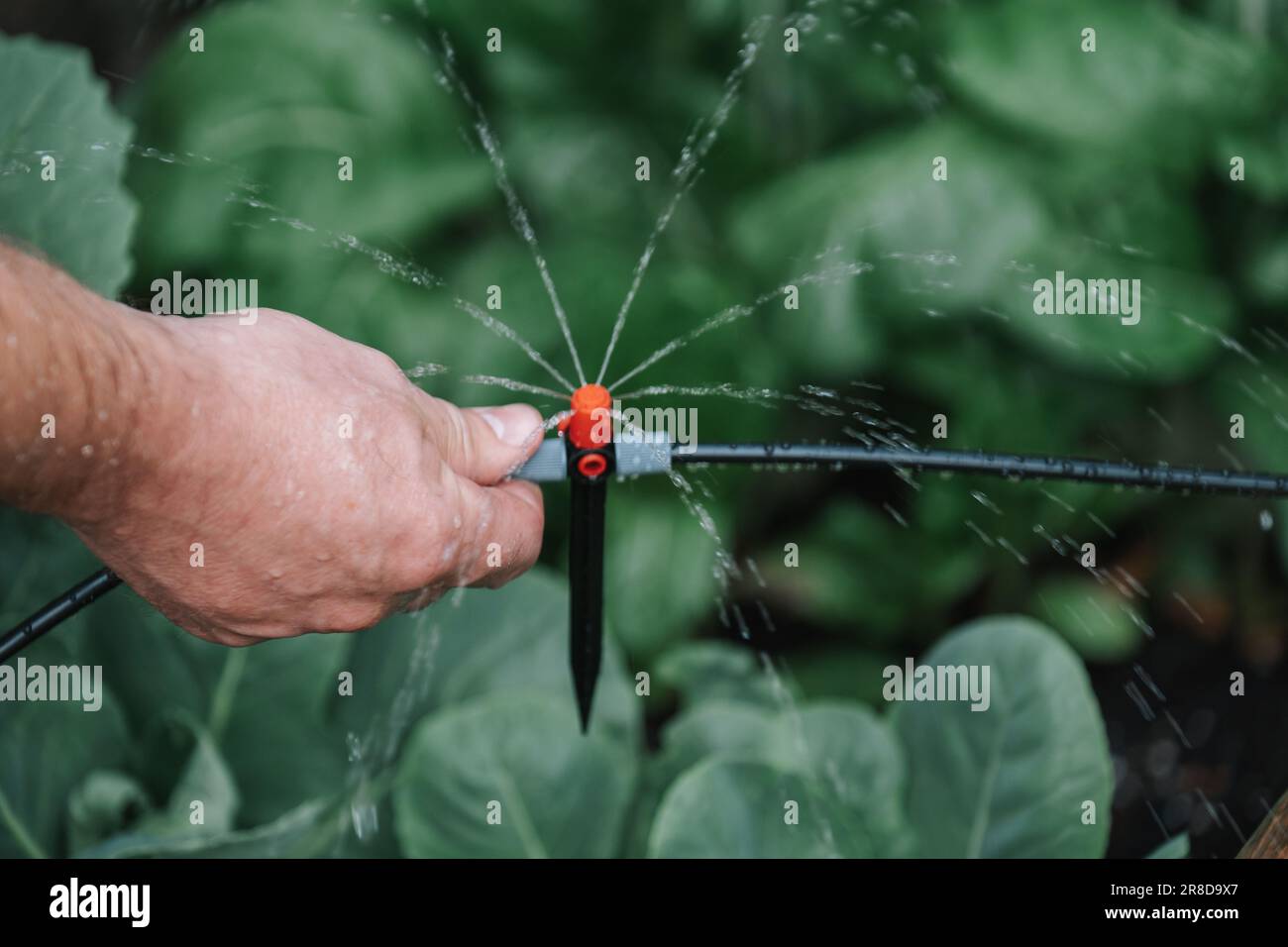 Irrigation equipment. Drip irrigation installation. Drip hose and ...