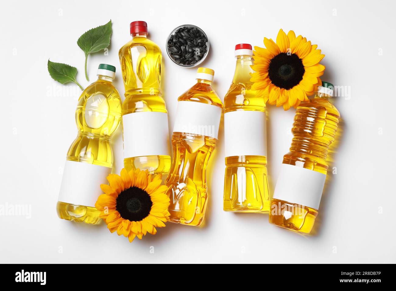 Bottles of sunflower cooking oil, seeds and beautiful flowers on white ...