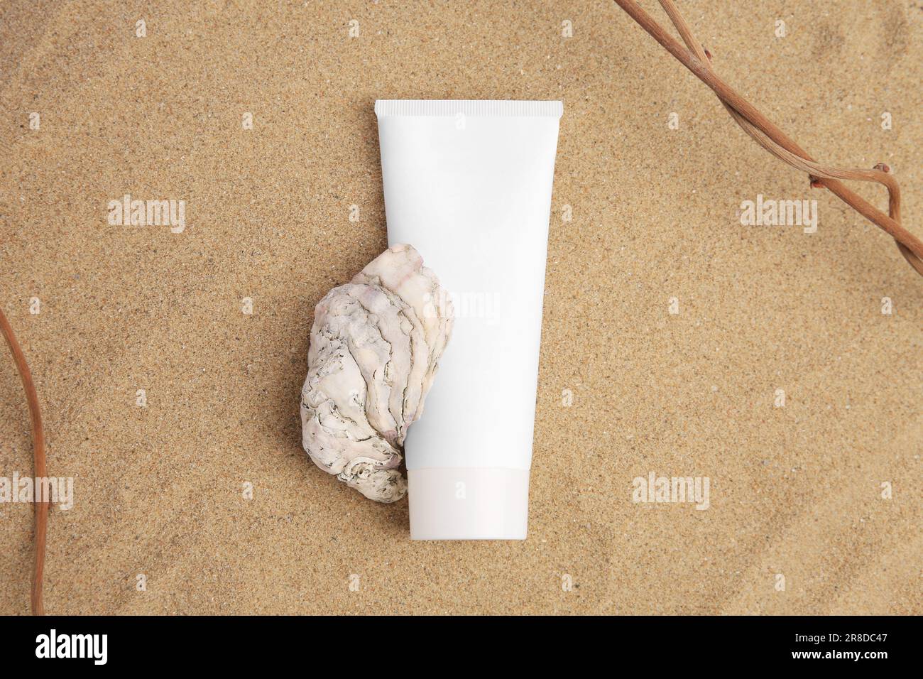 Shell and tube hi-res stock photography and images - Alamy