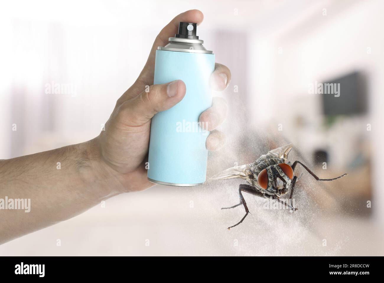 Man spraying insect aerosol on fly in room, closeup Stock Photo - Alamy
