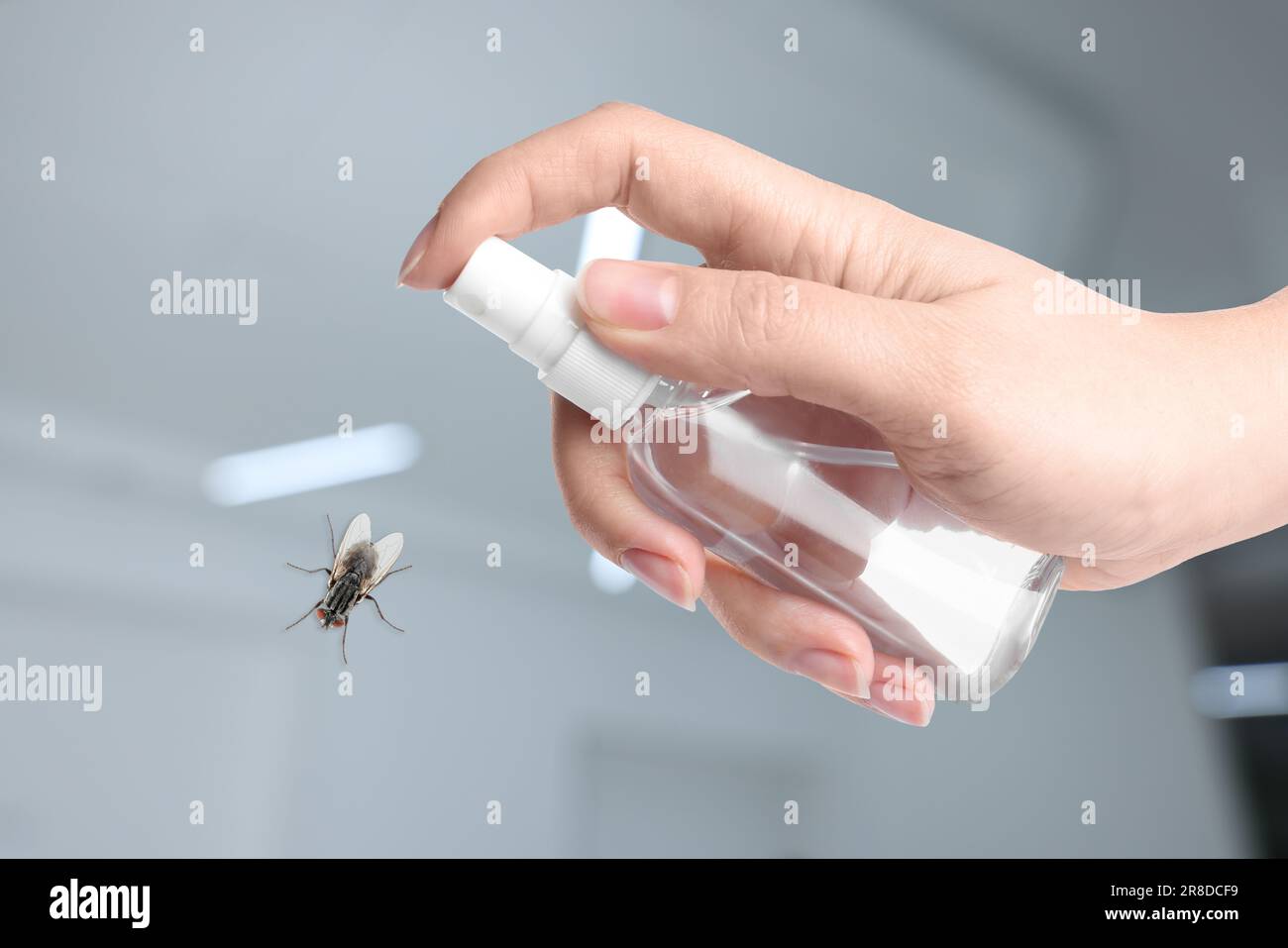 Woman using insecticide spray hi-res stock photography and images - Alamy