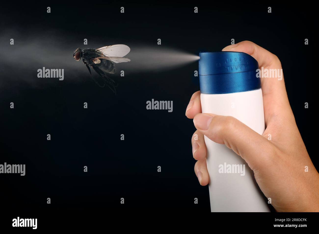 Woman spraying insect aerosol on fly against black background, closeup ...