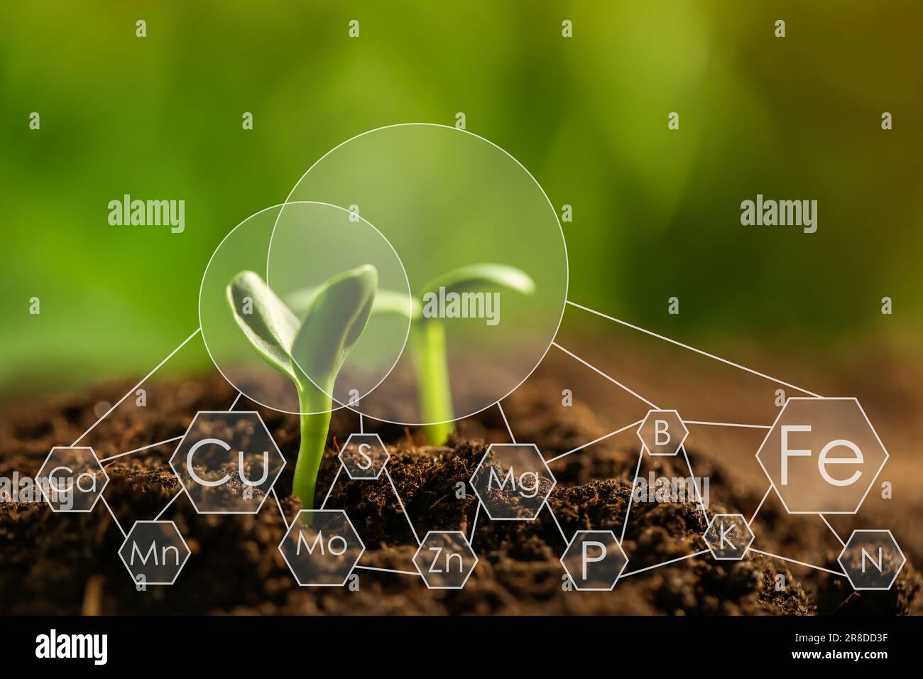 Components of soil hi-res stock photography and images - Alamy