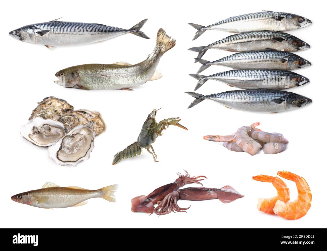 Collage with different seafood on white background Stock Photo - Alamy