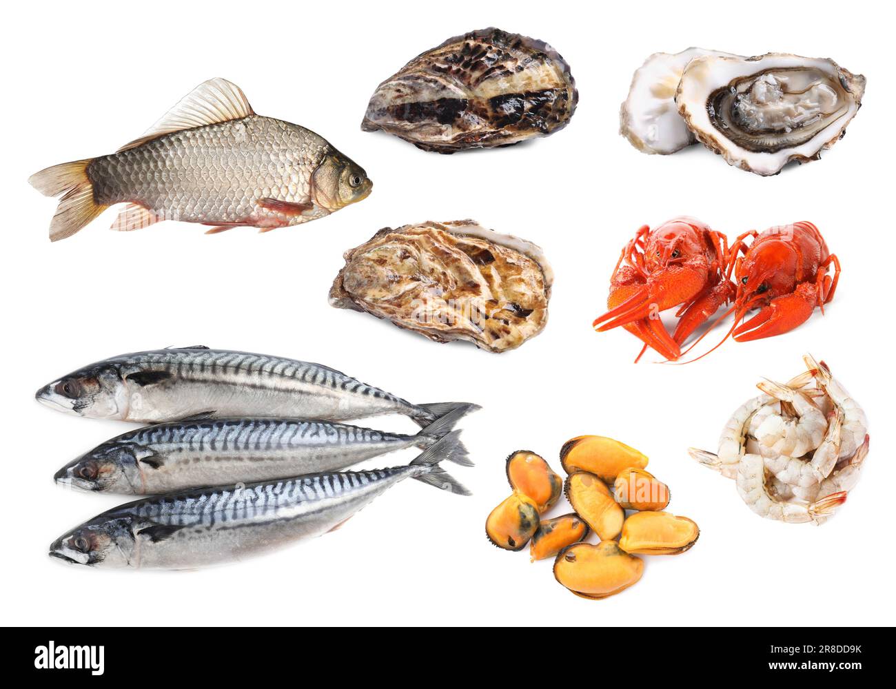 Collage with different seafood on white background Stock Photo - Alamy