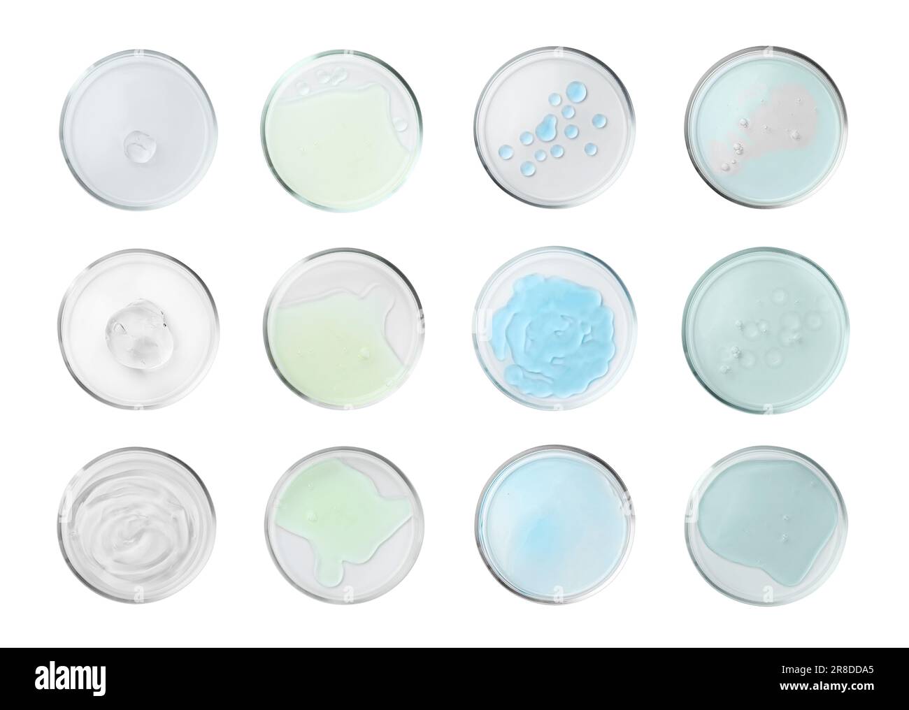 Set of Petri dishes with liquid samples isolated on white, top view ...