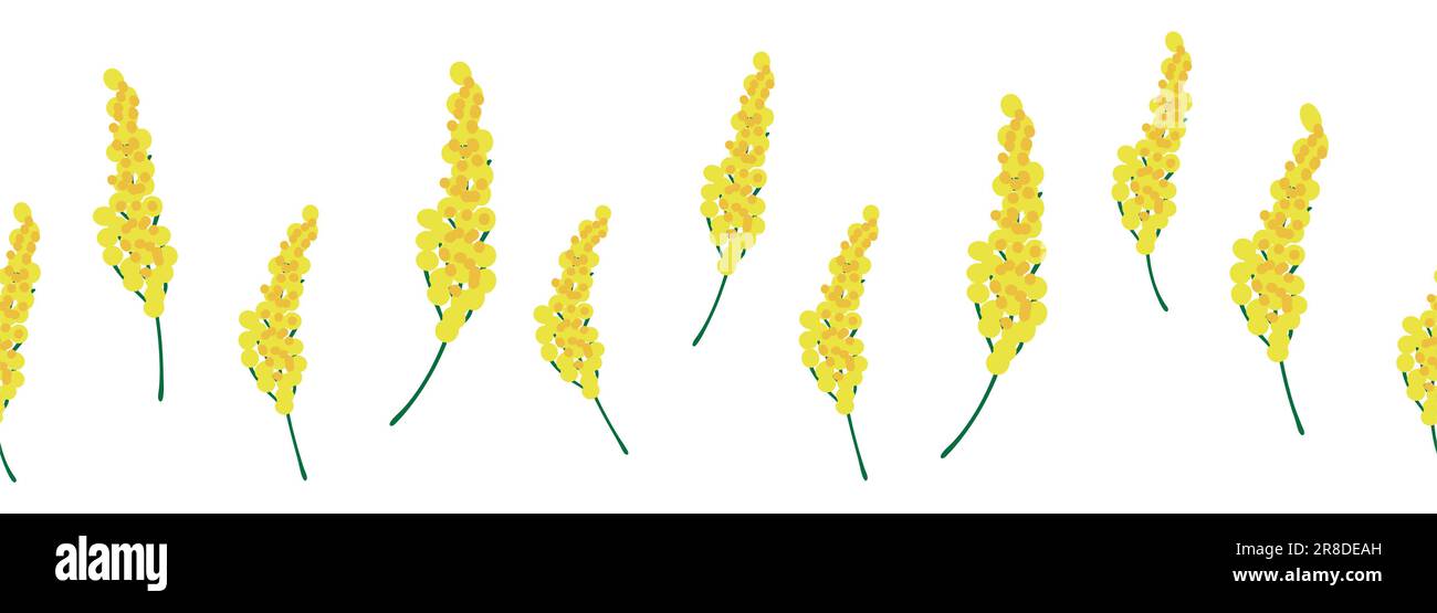 Mimosa yellow horizontal border seamless pattern. Floral seamless ...