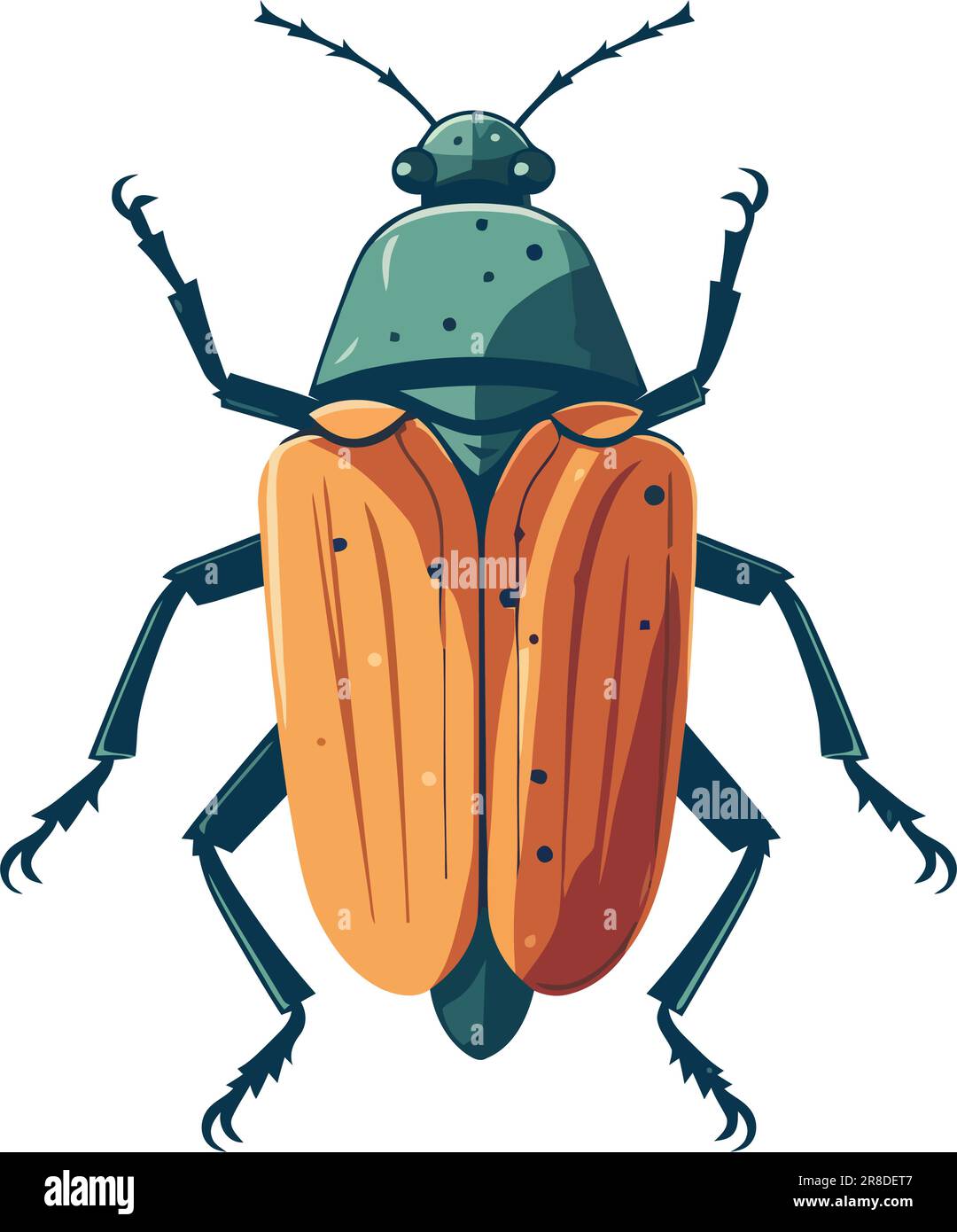 Small insect small on white background Stock Vector Image & Art - Alamy