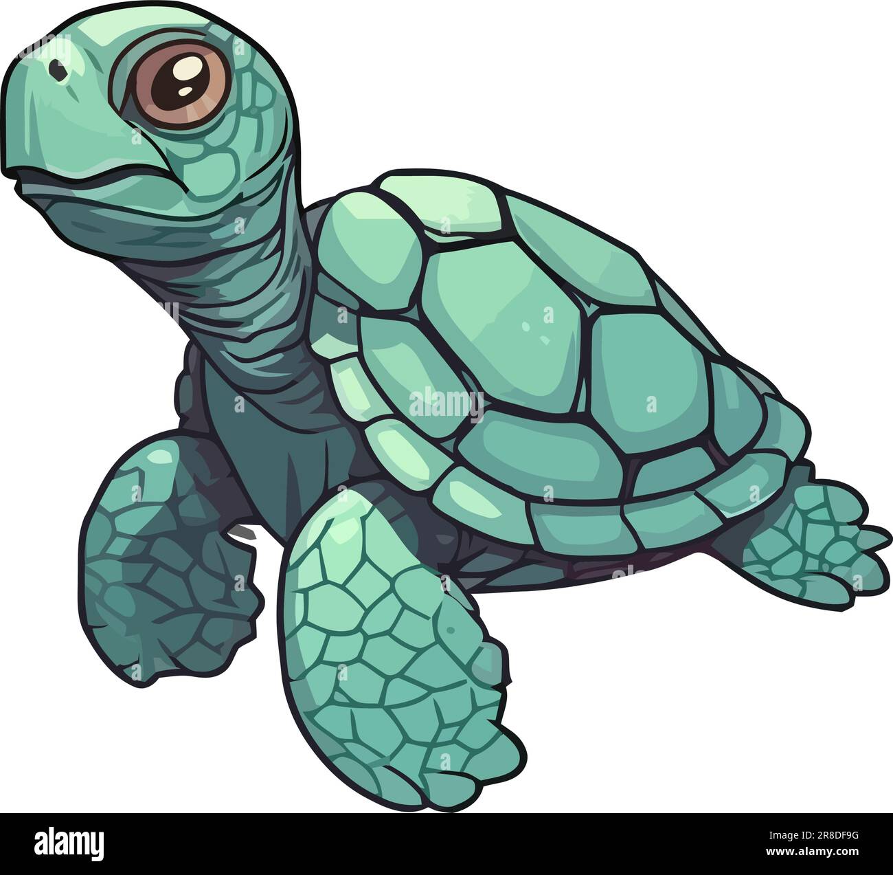 Cute turtle on white background Stock Vector Image & Art - Alamy