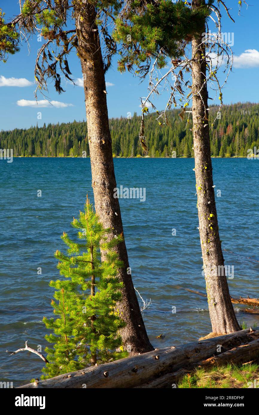 Diamond Lake, Umpqua National Forest, Rogue-Umpqua National Scenic ...