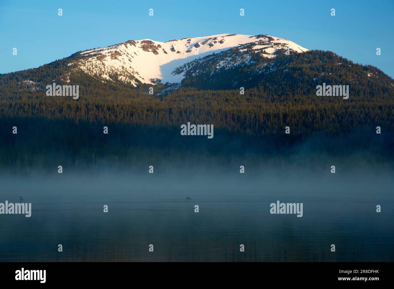 Mount Bailey from Diamond Lake, Umpqua National Forest, Rogue-Umpqua ...