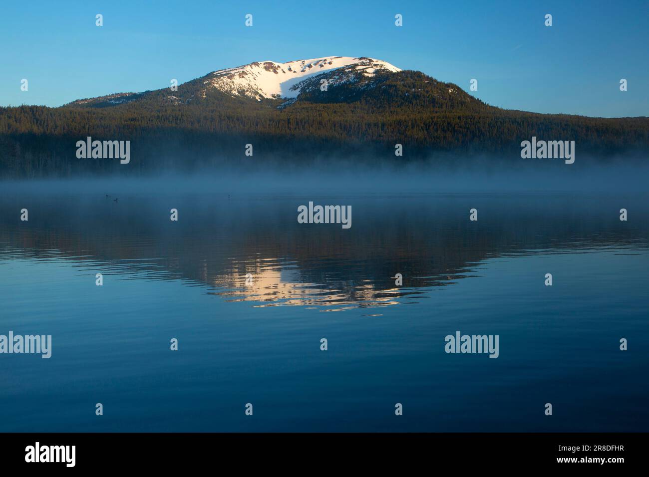Mount Bailey from Diamond Lake, Umpqua National Forest, Rogue-Umpqua ...