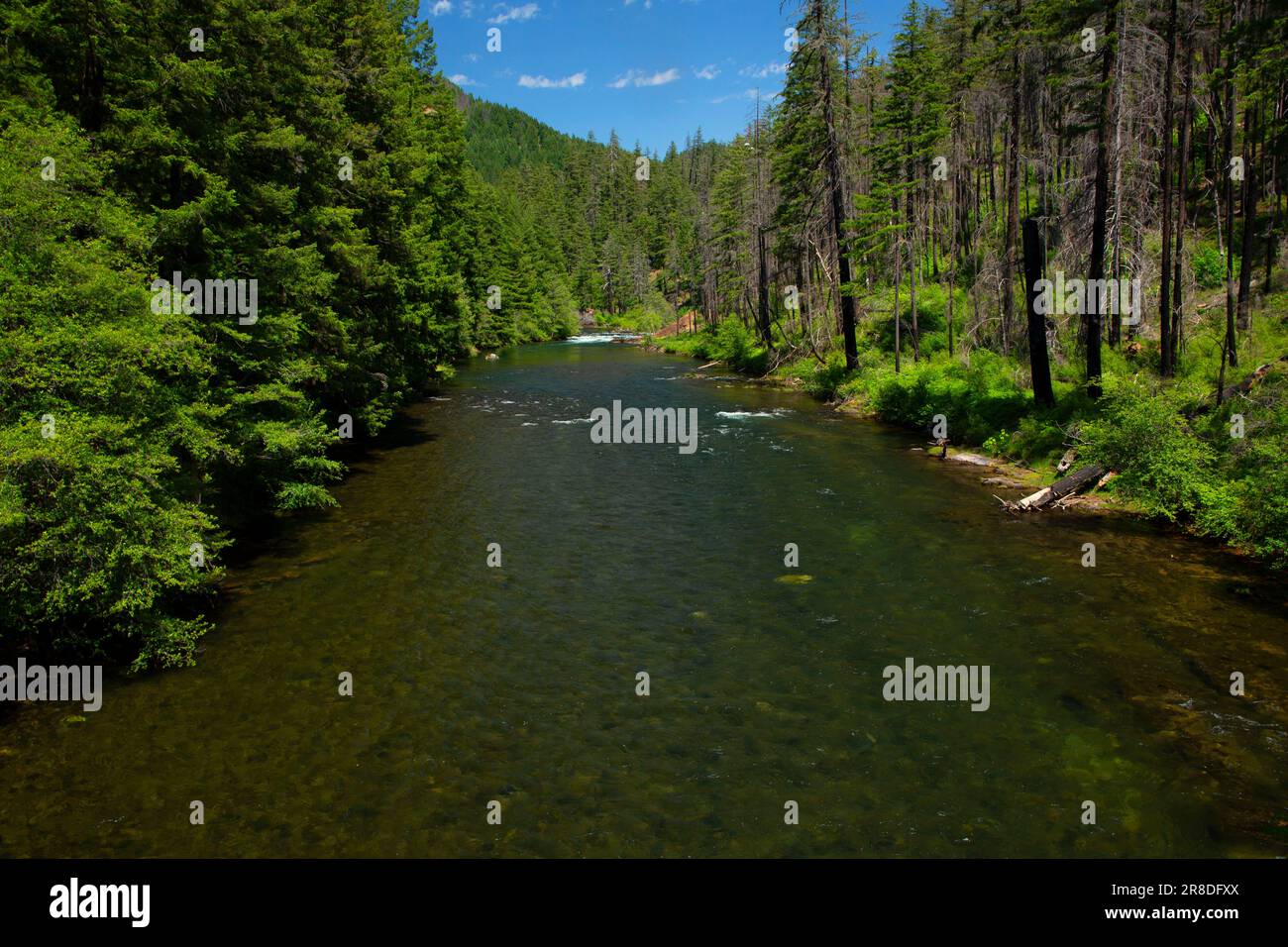 Umpqua River Scenic Byway Oregon