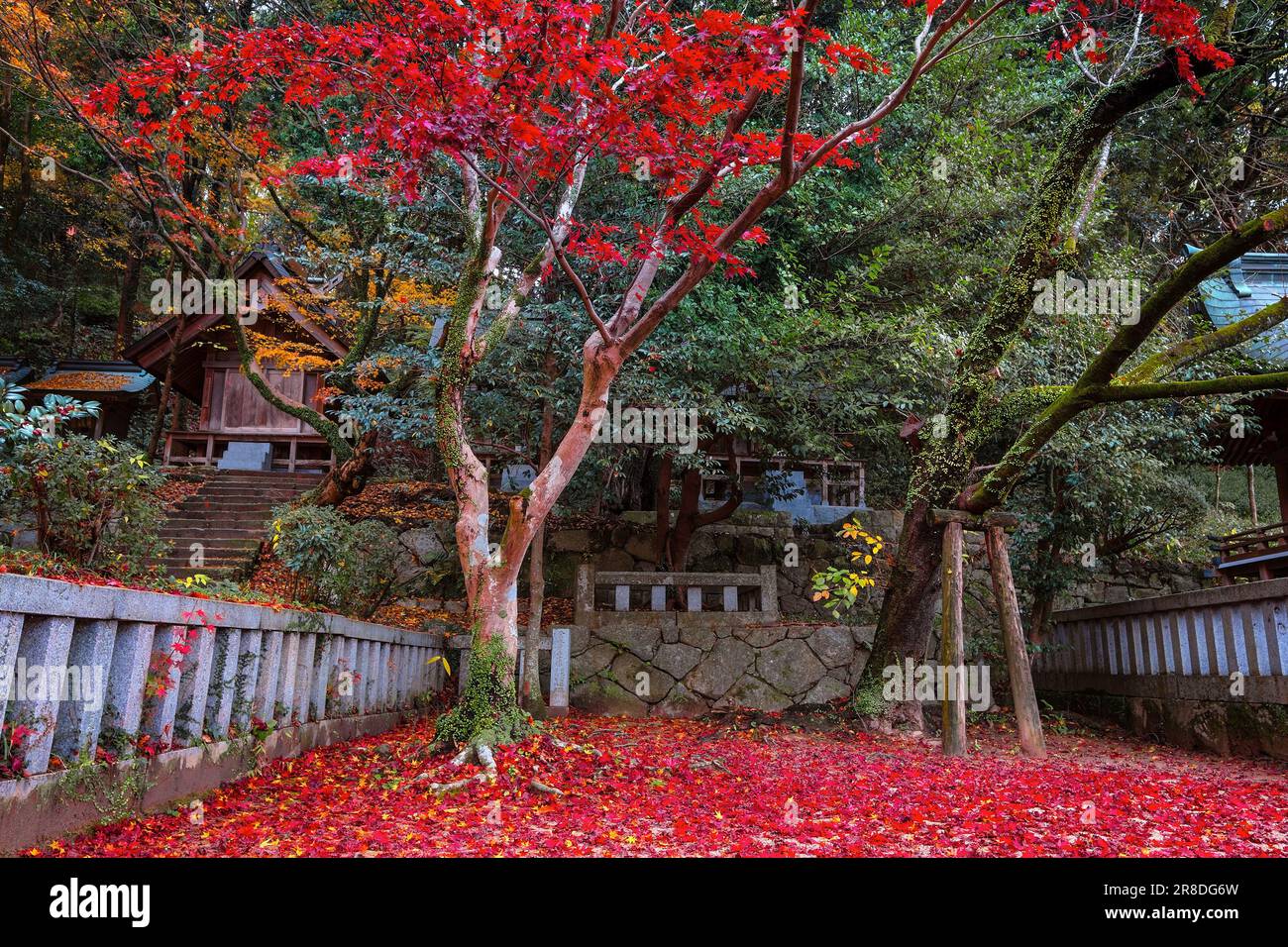 Fukuoka, Japan - Nov 30 2022: Dazaifu Tenmangu shgrine dedicated to the ...