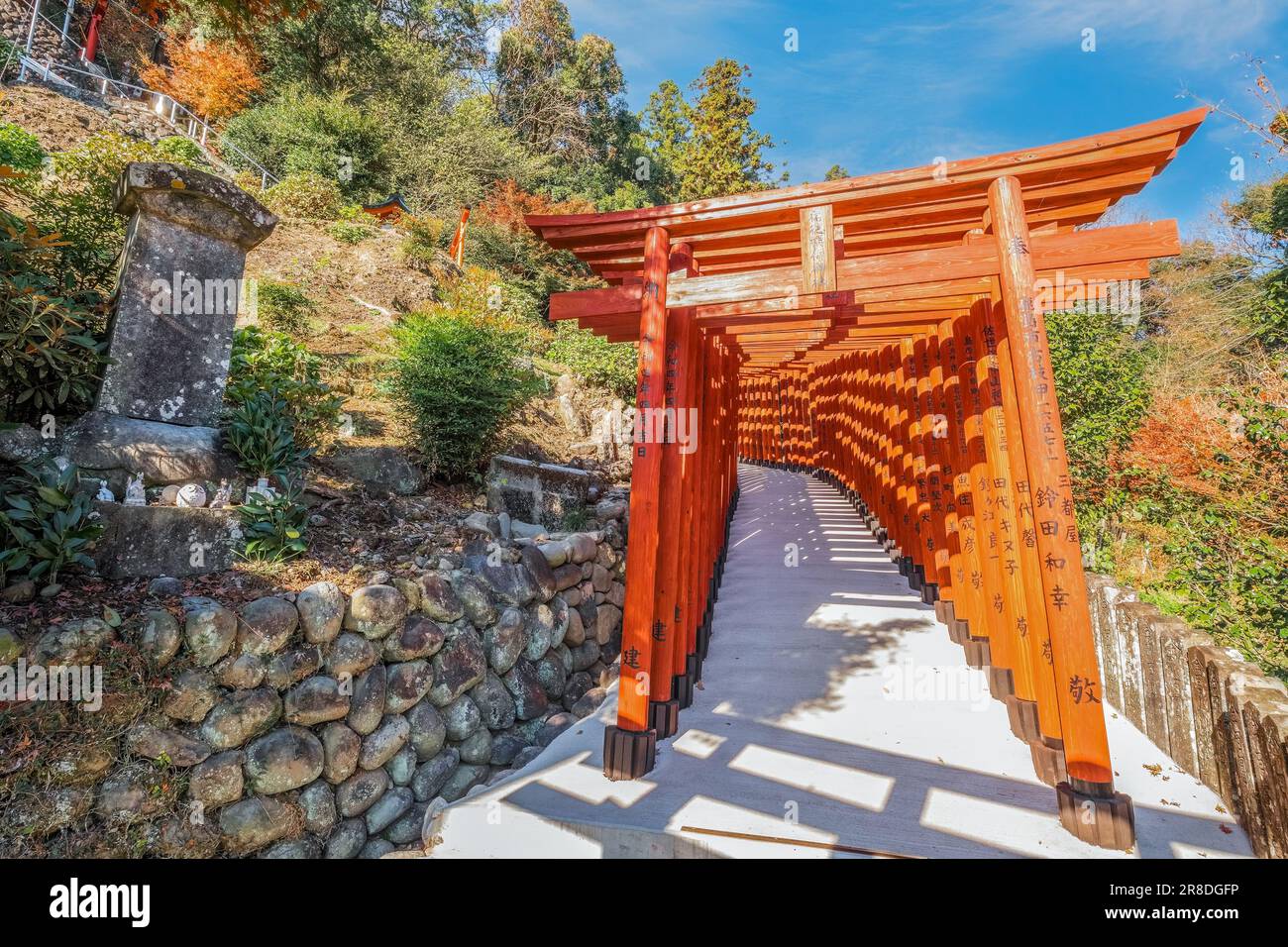 Saga, Japan - Nov 28 2022: Yutoku Inari shrine in Kashima City, Saga ...