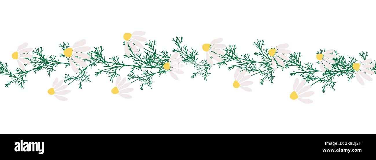 Chamomile horizontal border seamless pattern. Floral seamless border Stock Vector Image & Art ...