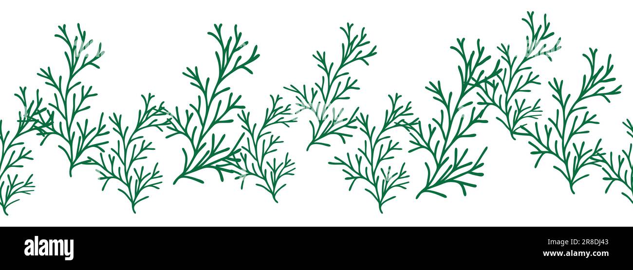 Leaves decorative, algae horizontal border seamless pattern Stock ...
