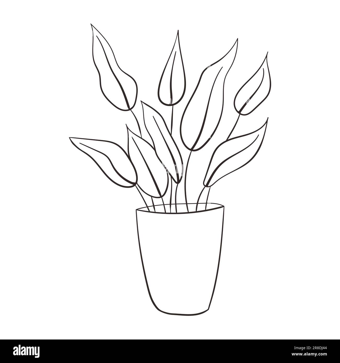 Simple house plant drawing hi-res stock photography and images - Alamy