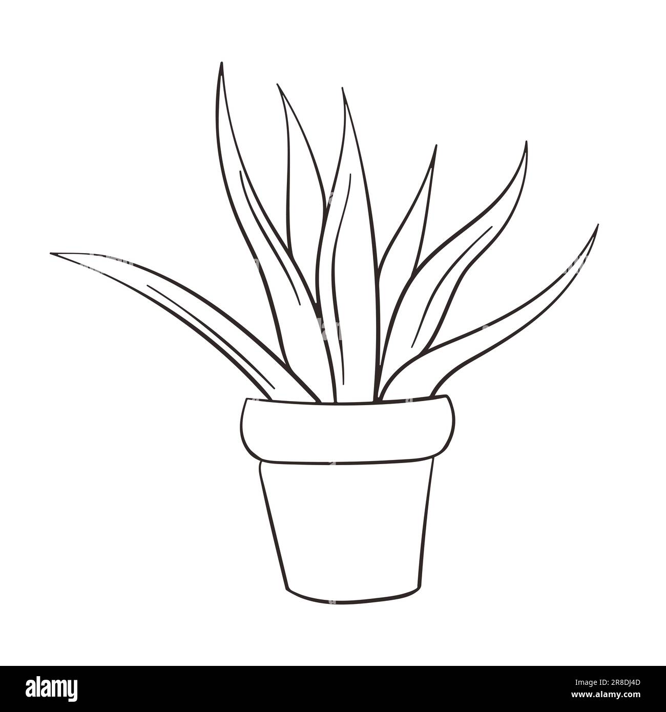 Agave vector icon. House plant symbol line art vector sign isolated on ...