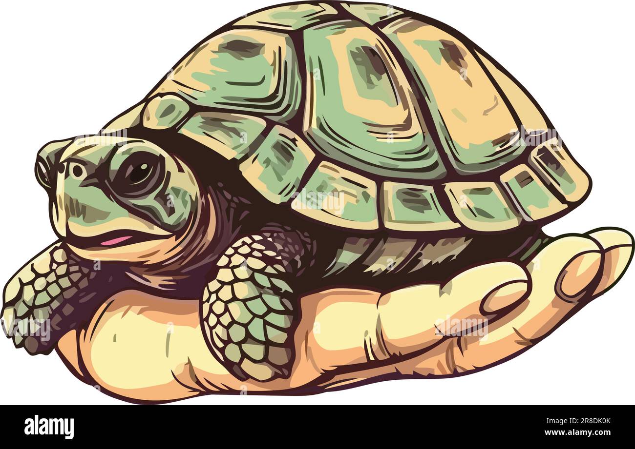 Slow and steady, the cute turtle crawls Stock Vector Image & Art - Alamy