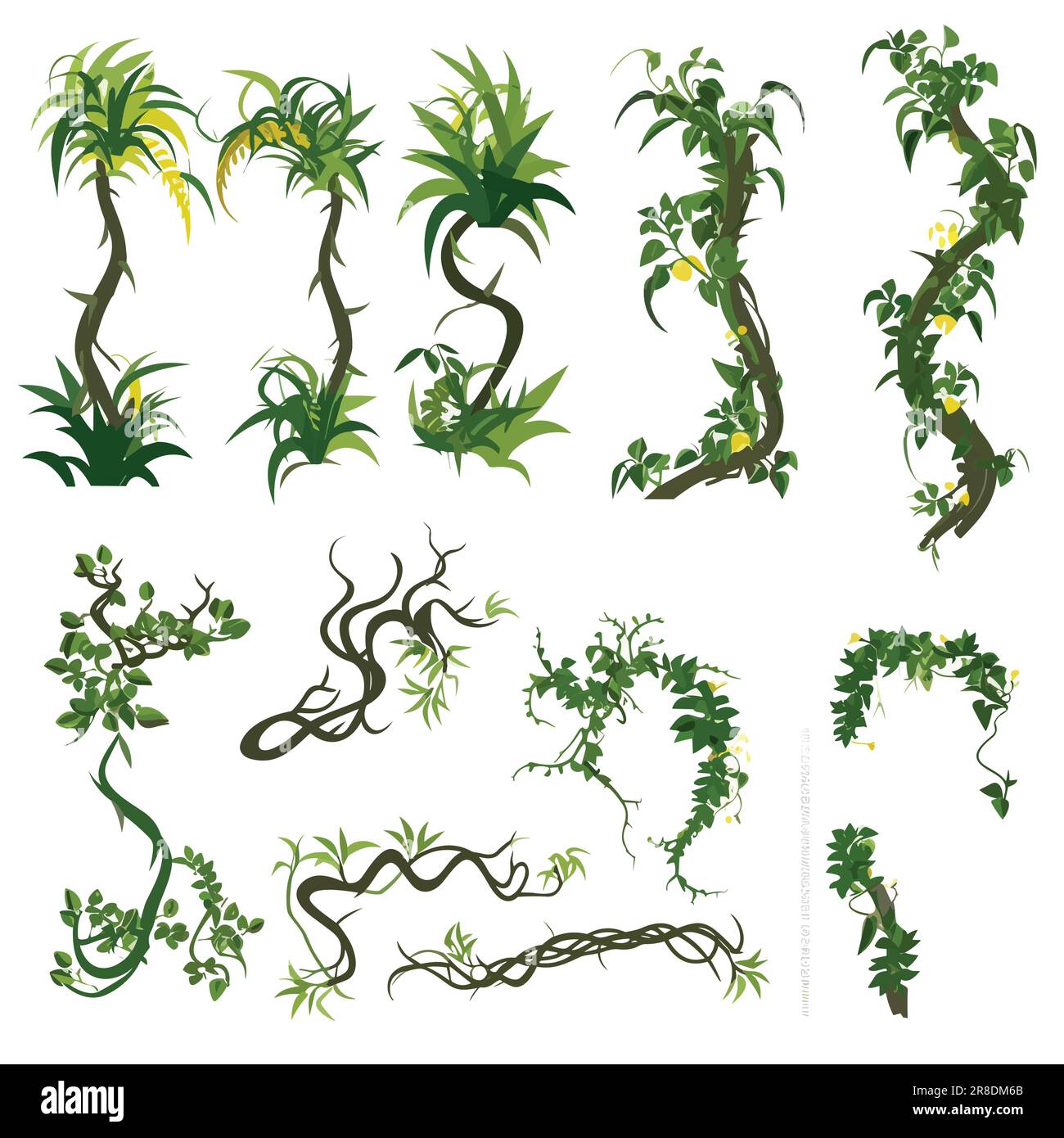 Tree hanging vines Cut Out Stock Images & Pictures - Alamy