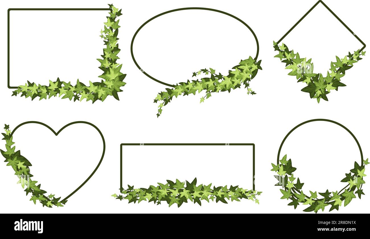 Green ivy frame. Botanic border, evergreen leaves and vines frames in ...