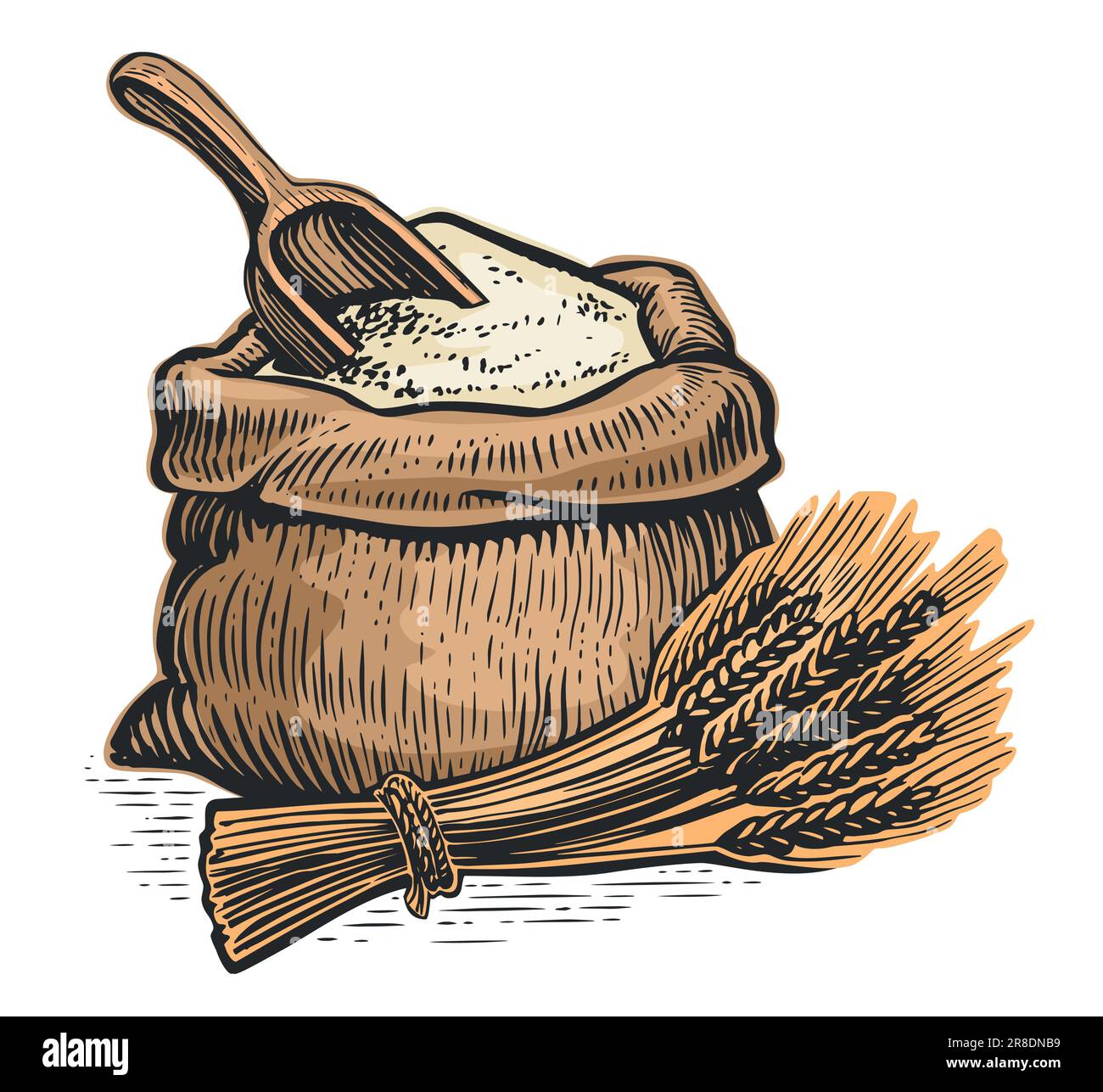 Wheat ears, flour in sack with wooden scoop. Organic farm food. Vector ...