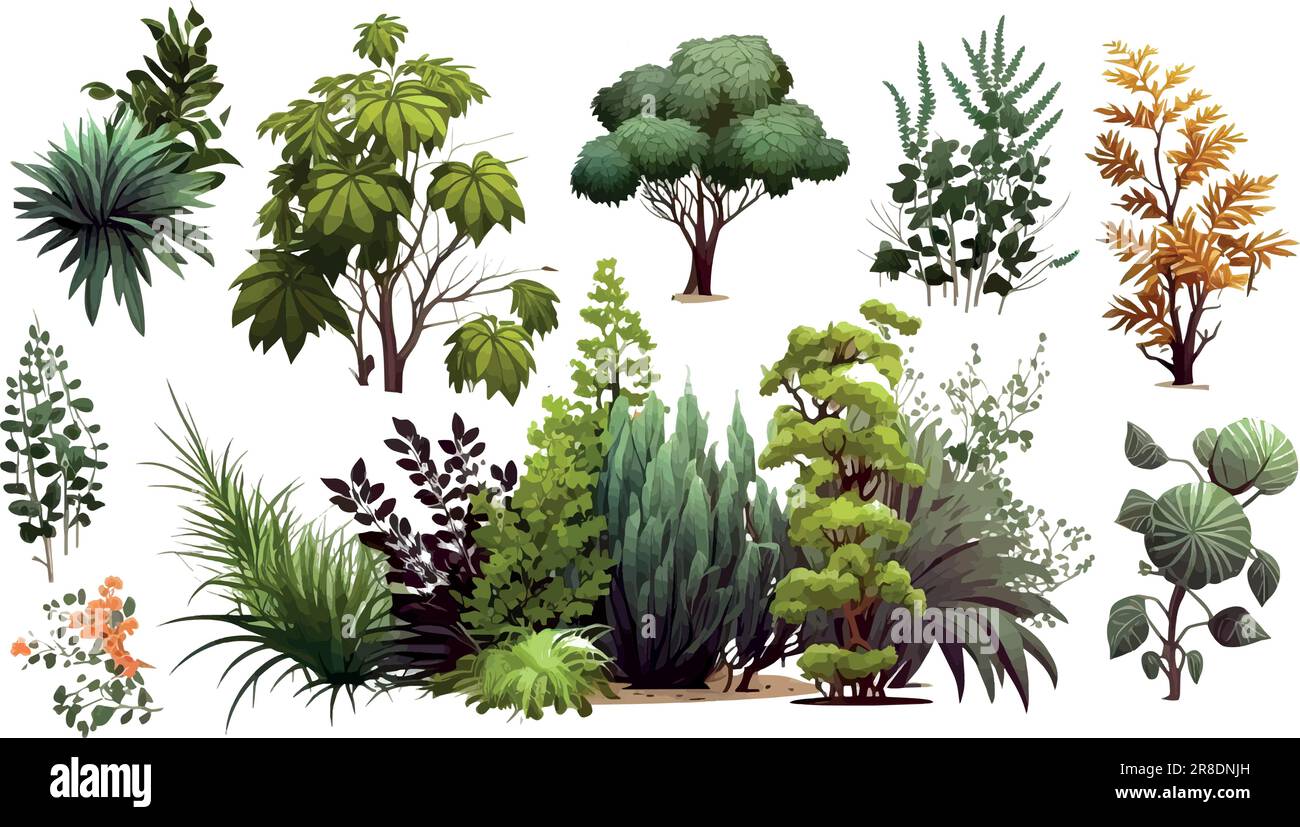 Ornamental plant shrub decorate Cut Out Stock Images & Pictures - Alamy