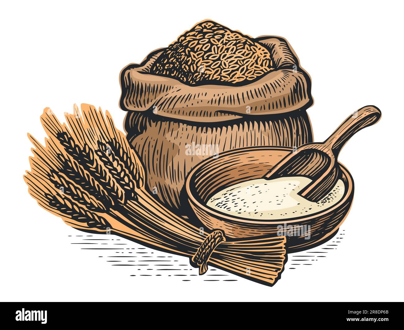 Wheat ears, grains and flour in sack. Organic farm food. Vector ...