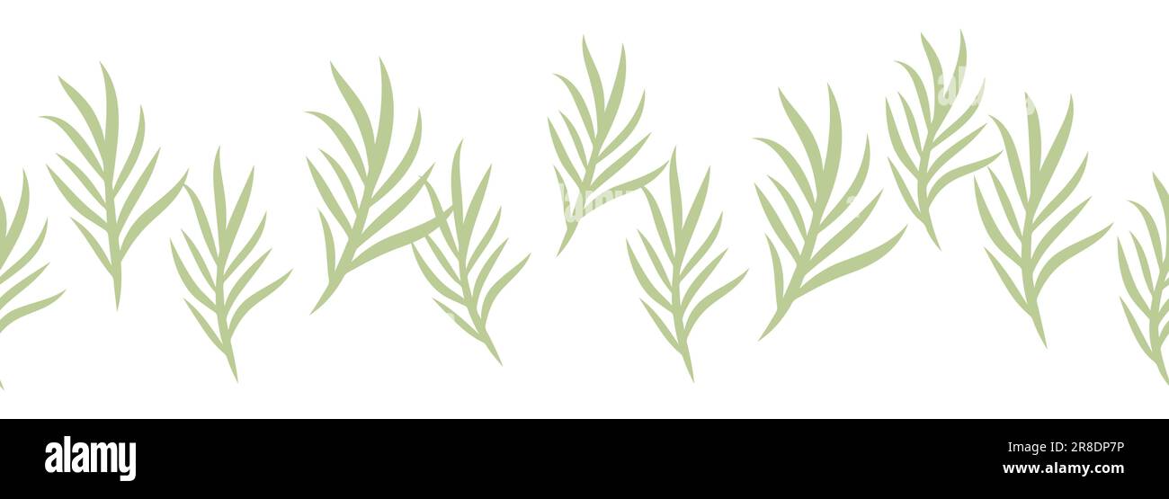 Leaves decorative, algae horizontal border seamless pattern Stock ...