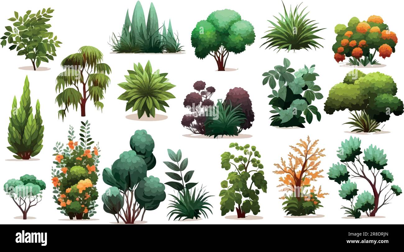 Vector set of vegetation bushes, grass and trees Stock Vector Image ...