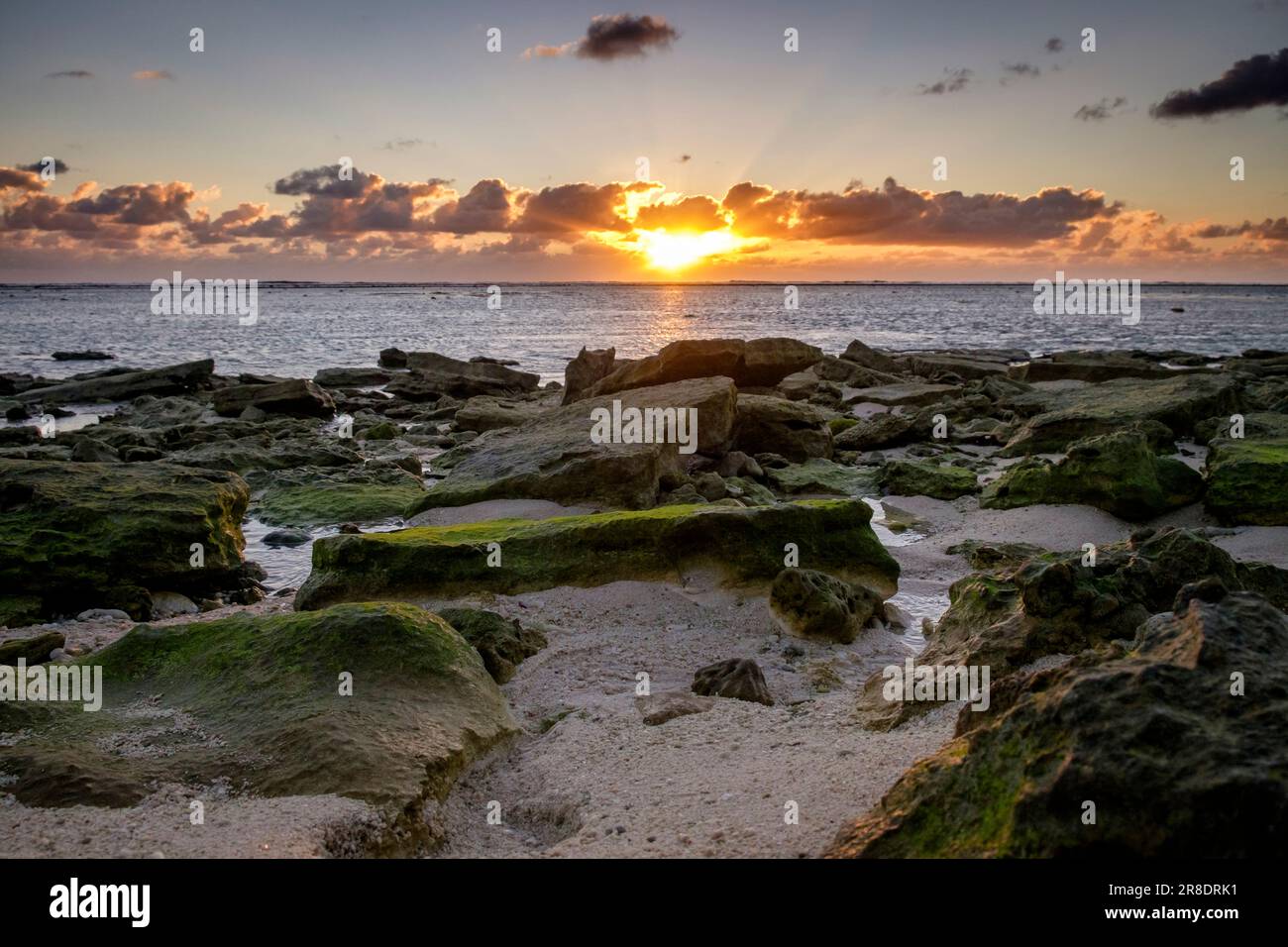 Lady Elliot Island Stock Photo - Alamy