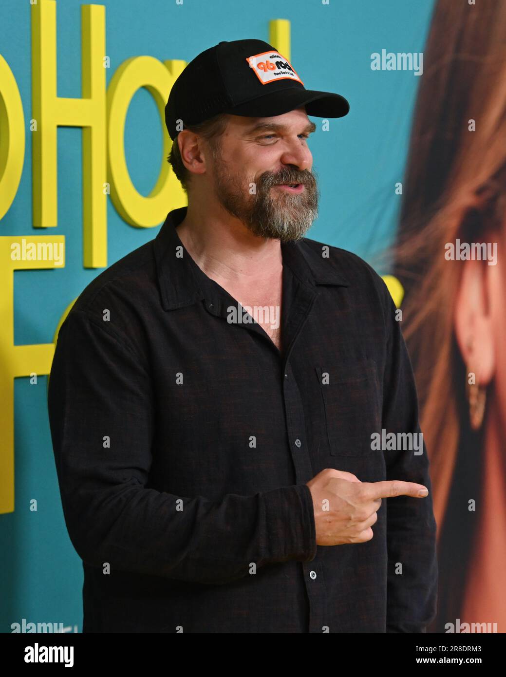 David Harbour attends Sony Pictures' "No Hard Feelings" New York ...