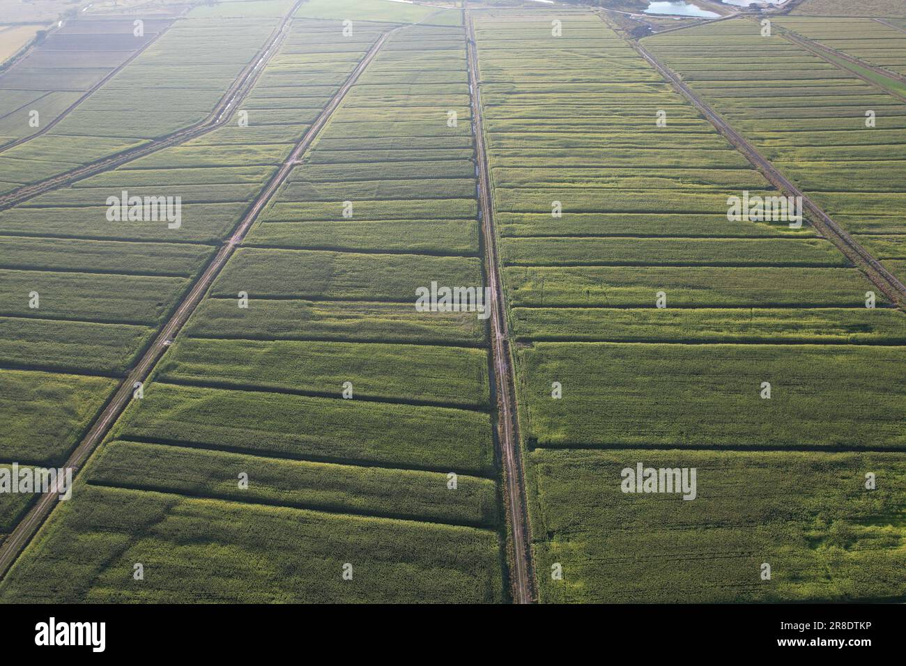 Aerial view of corn field at Vale do Paraiba, Brazil Stock Photo - Alamy