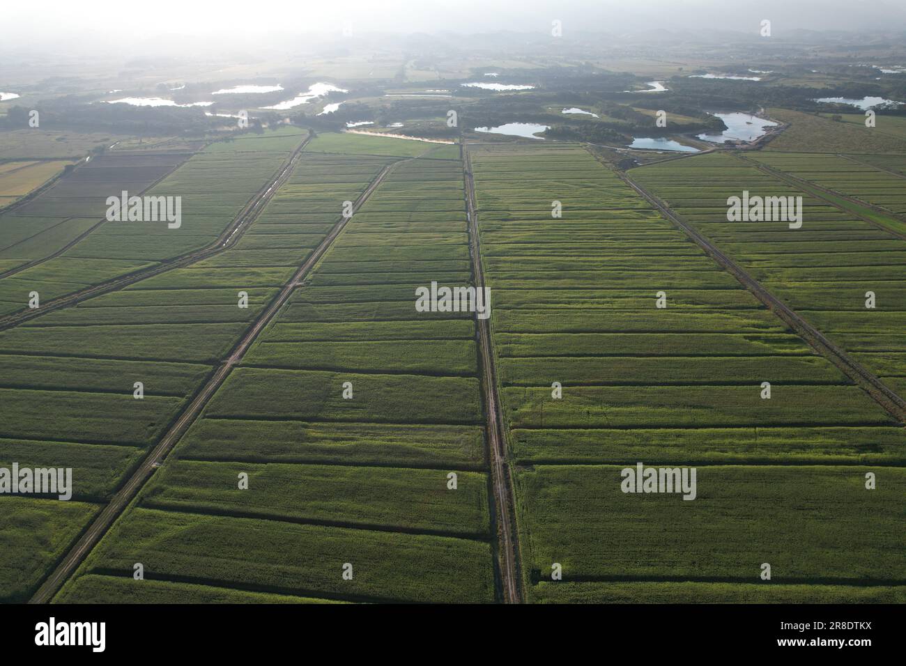 Aerial view of corn field at Vale do Paraiba, Brazil Stock Photo - Alamy