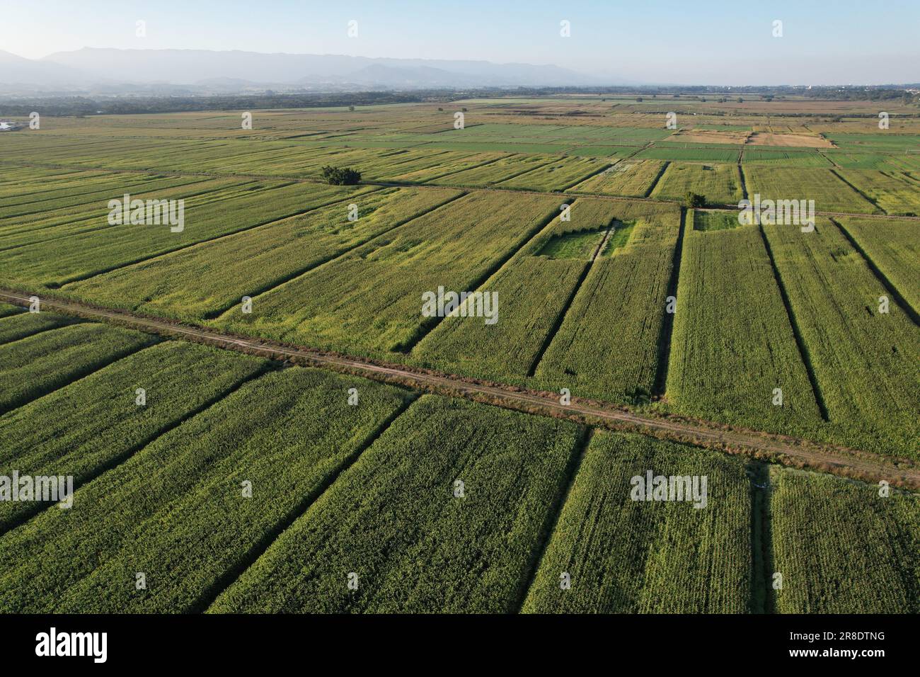 Vale do paraiba hi-res stock photography and images - Alamy