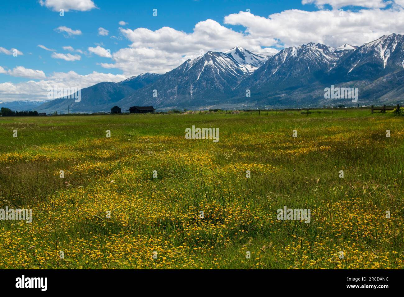 Mormon Station State Historic Park is a great place to visit for ...