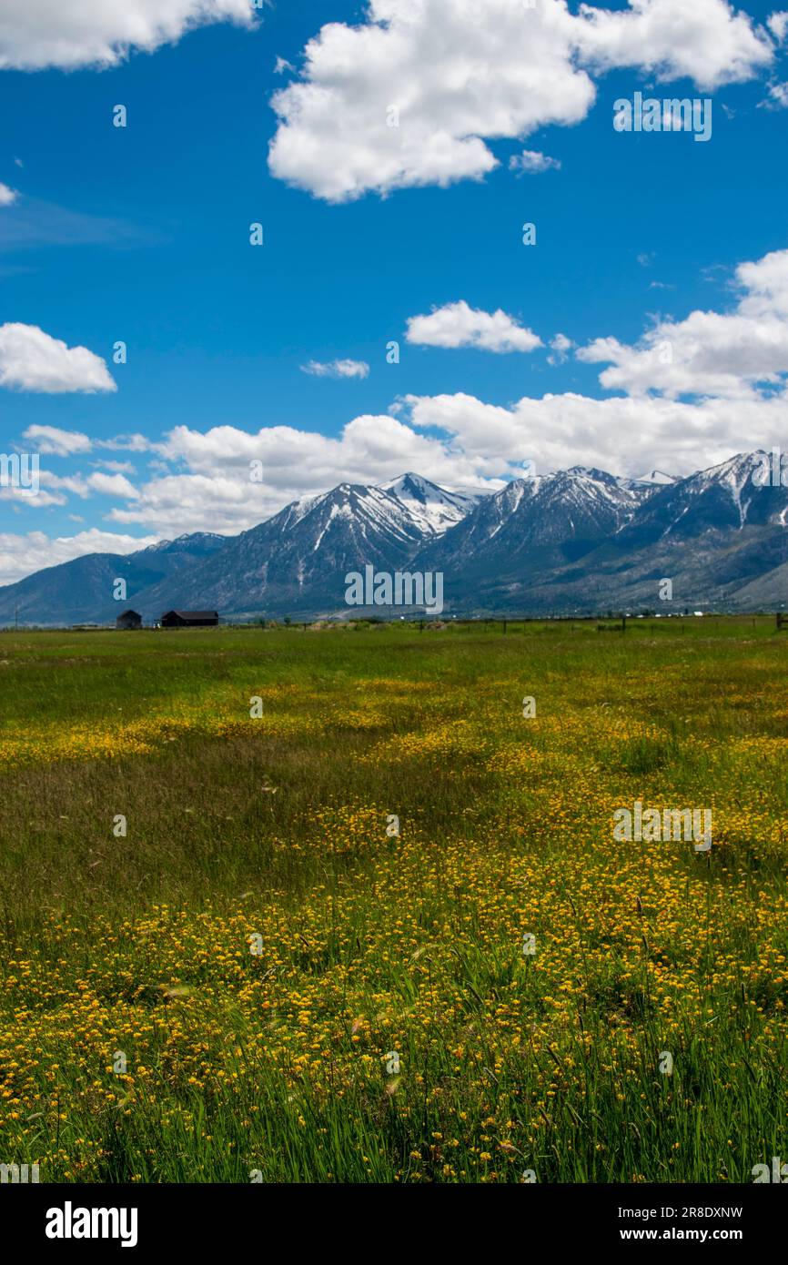 Mormon Station State Historic Park is a great place to visit for ...