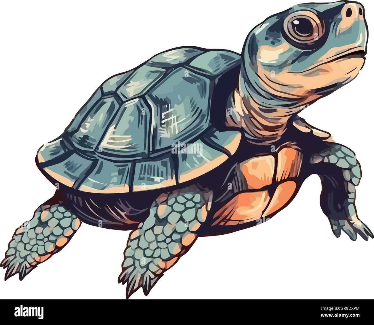 Slow turtle crawling on white background, cute Stock Vector Image & Art ...