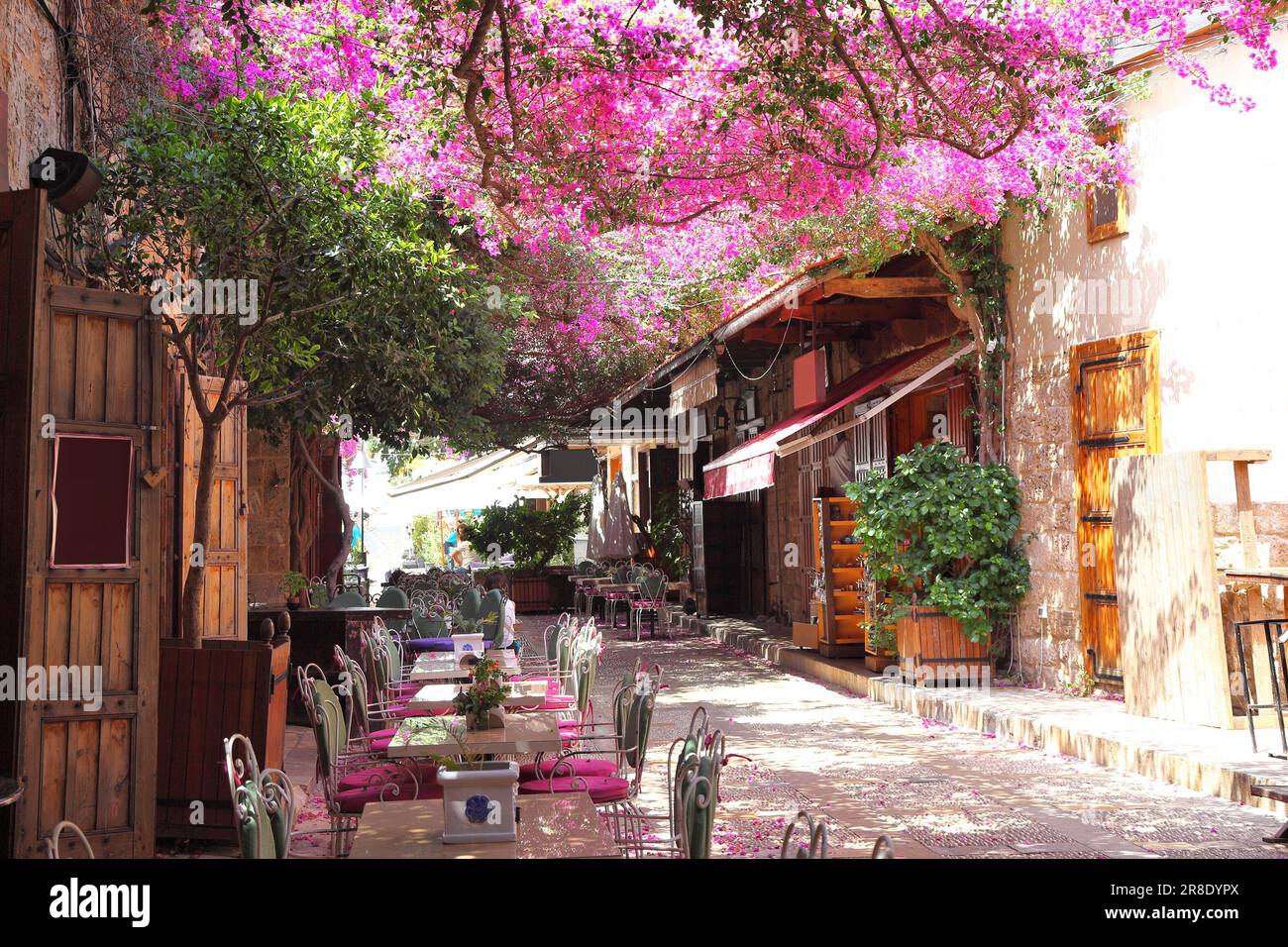 Byblos Old Souks, Lebanon - narrow alleyways covered with bougainvillea ...