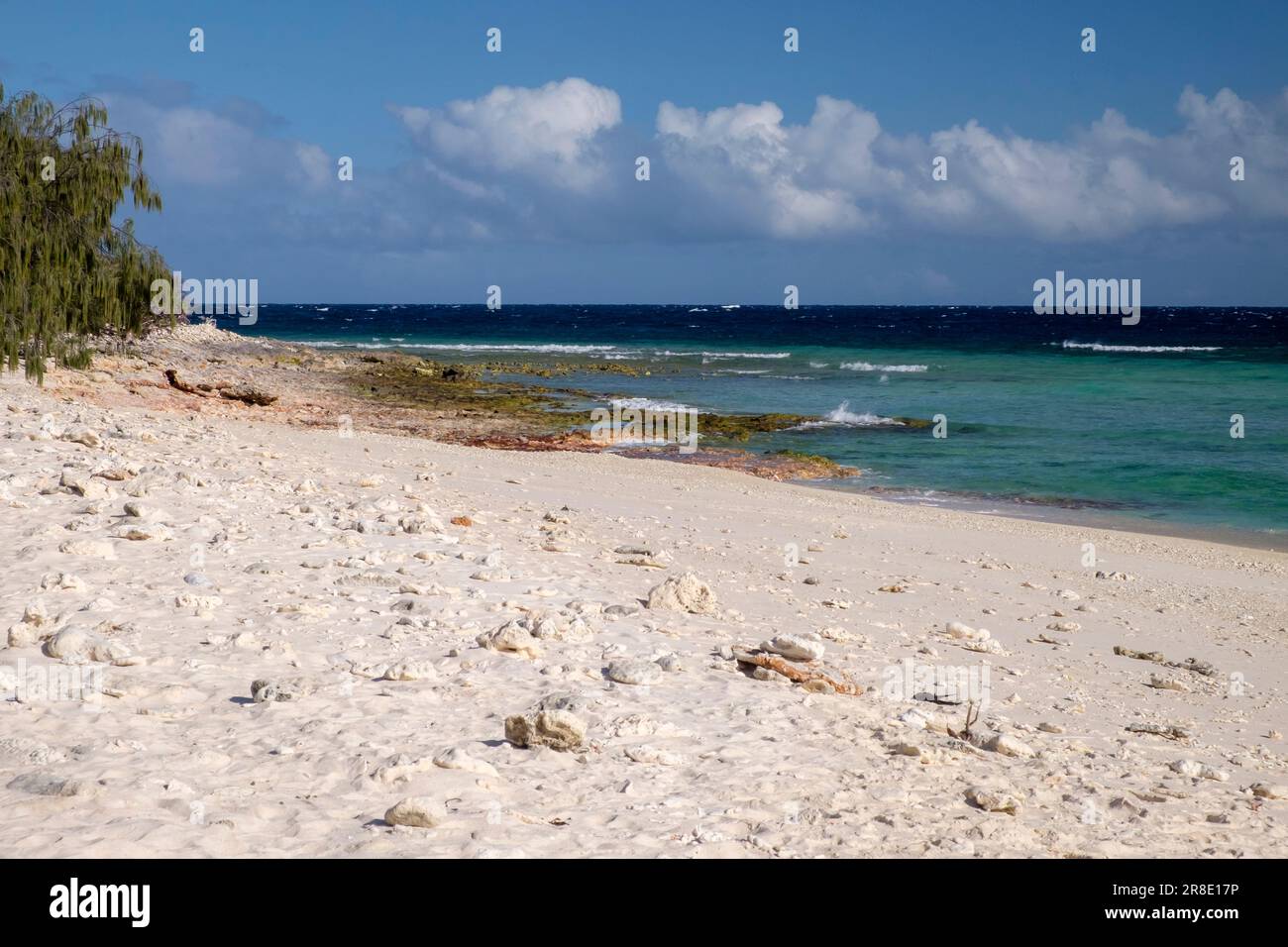 Lady Elliot Island Stock Photo - Alamy